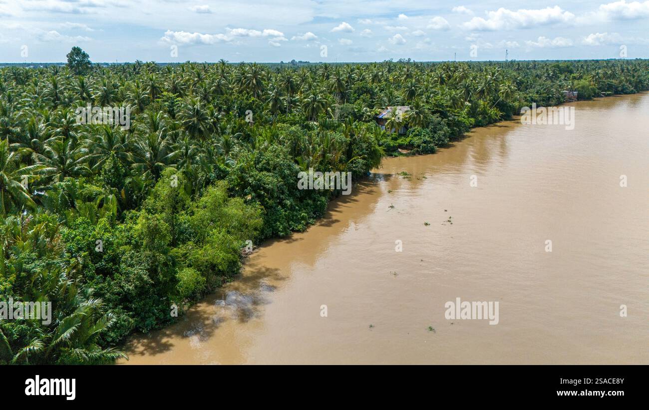 Aerial view of Vietnamese forest on the Mekong Delta, waterway ...