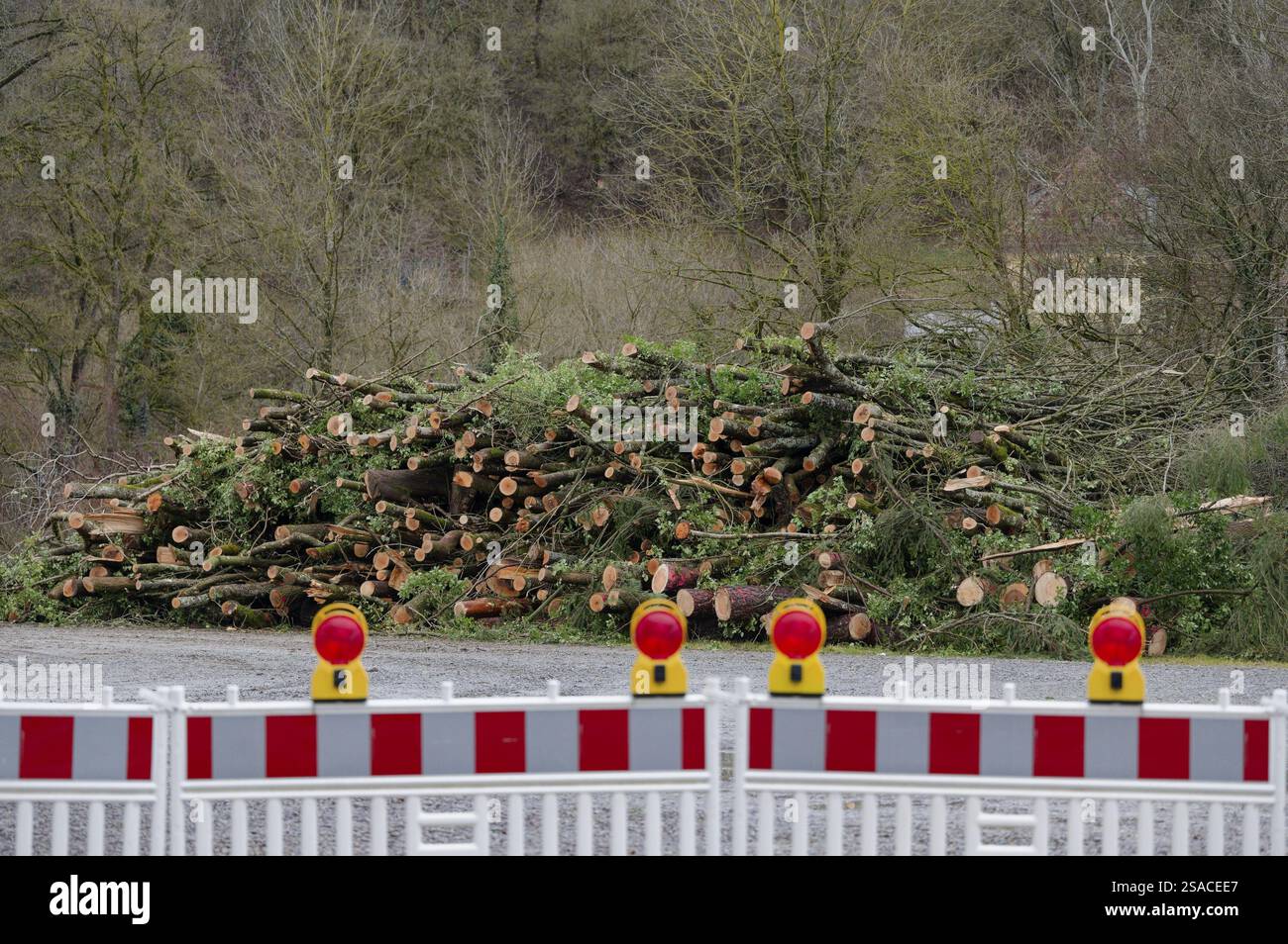 Helicopter logging hi-res stock photography and images - Alamy