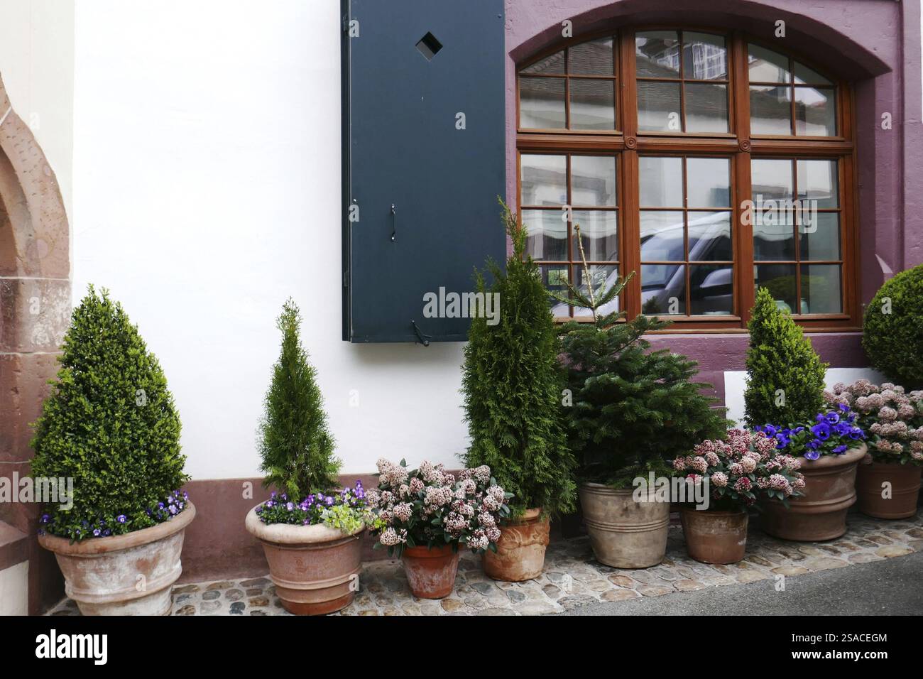 Potted flowers under a window, Basel Stock Photo - Alamy