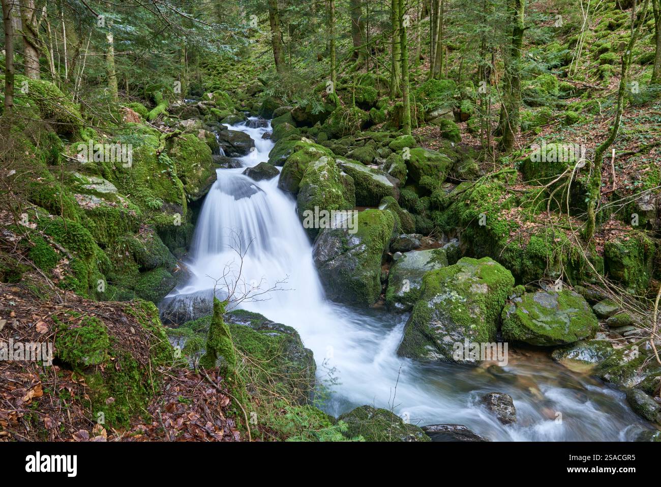 Majestic Allerheiligen Waterfalls: Powerful Cascades Over Mossy Rocks ...
