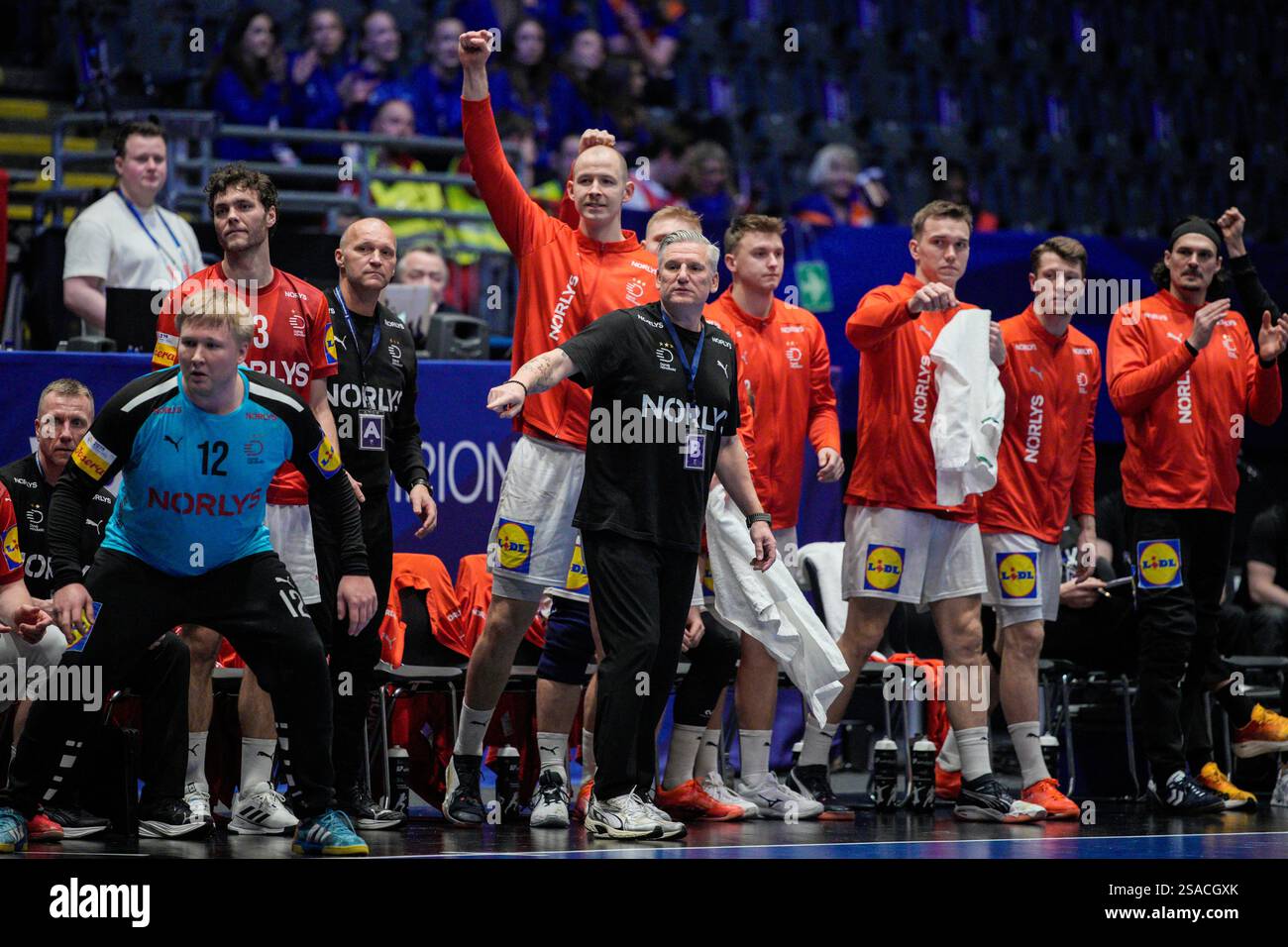 Fornebu 20250129. Denmark's players cheer during the quarter-final of ...