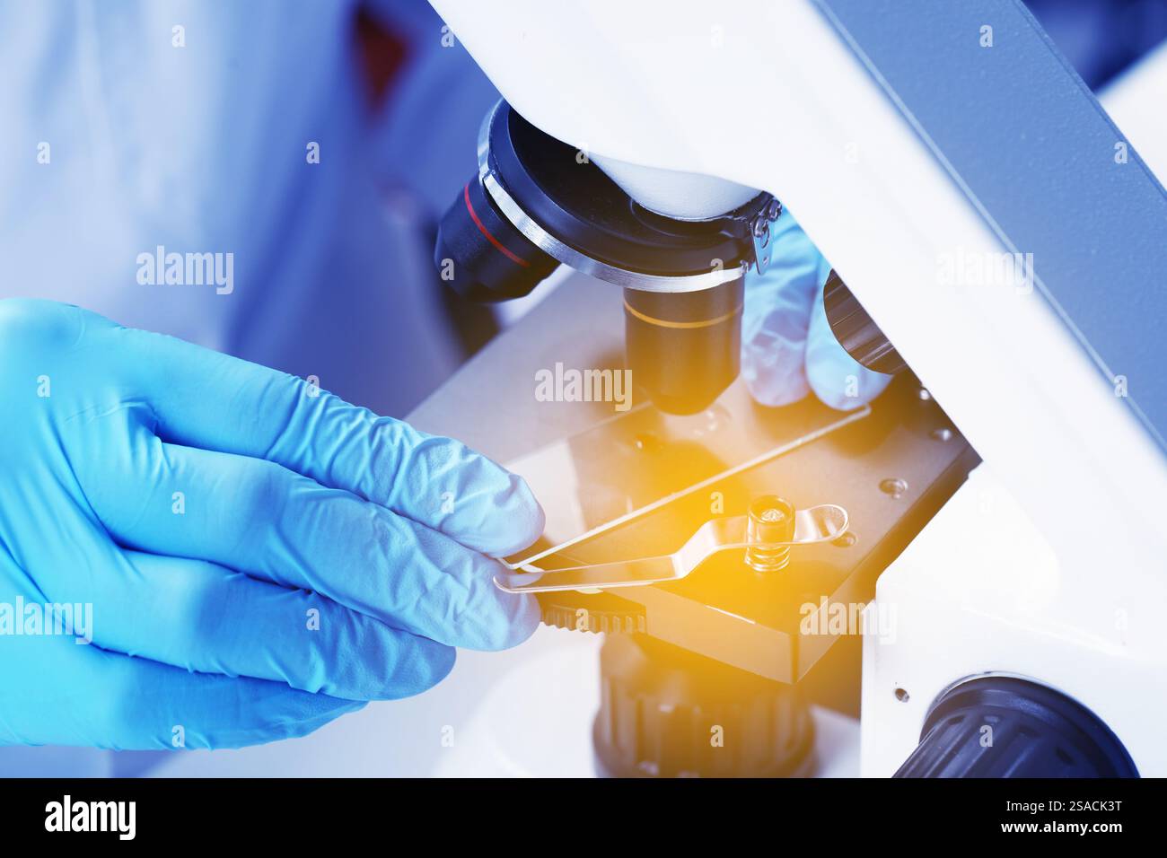 Scientist examining sample on slide under microscope, closeup Stock ...