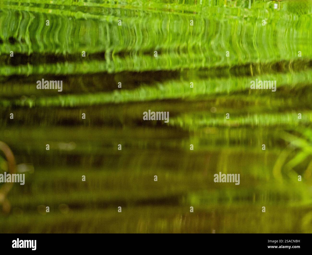 An abstract painting of nature. Created by the Amazon, the light and ...