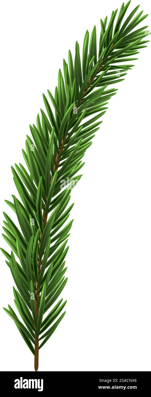 Green Christmas fir tree branch element. Vector illustration Stock ...