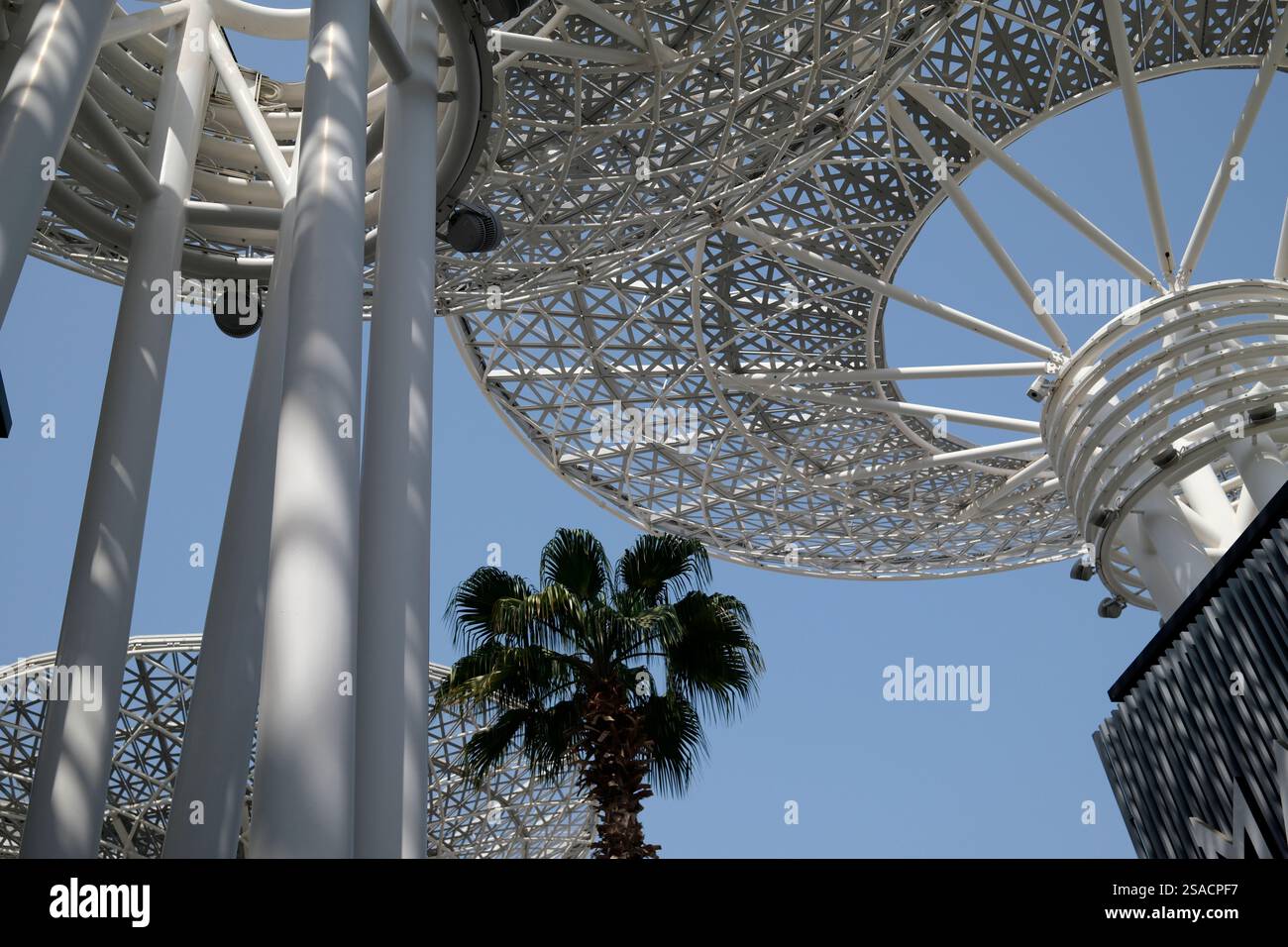 Modern artificial tree constructions and shopping street on Dubai ...