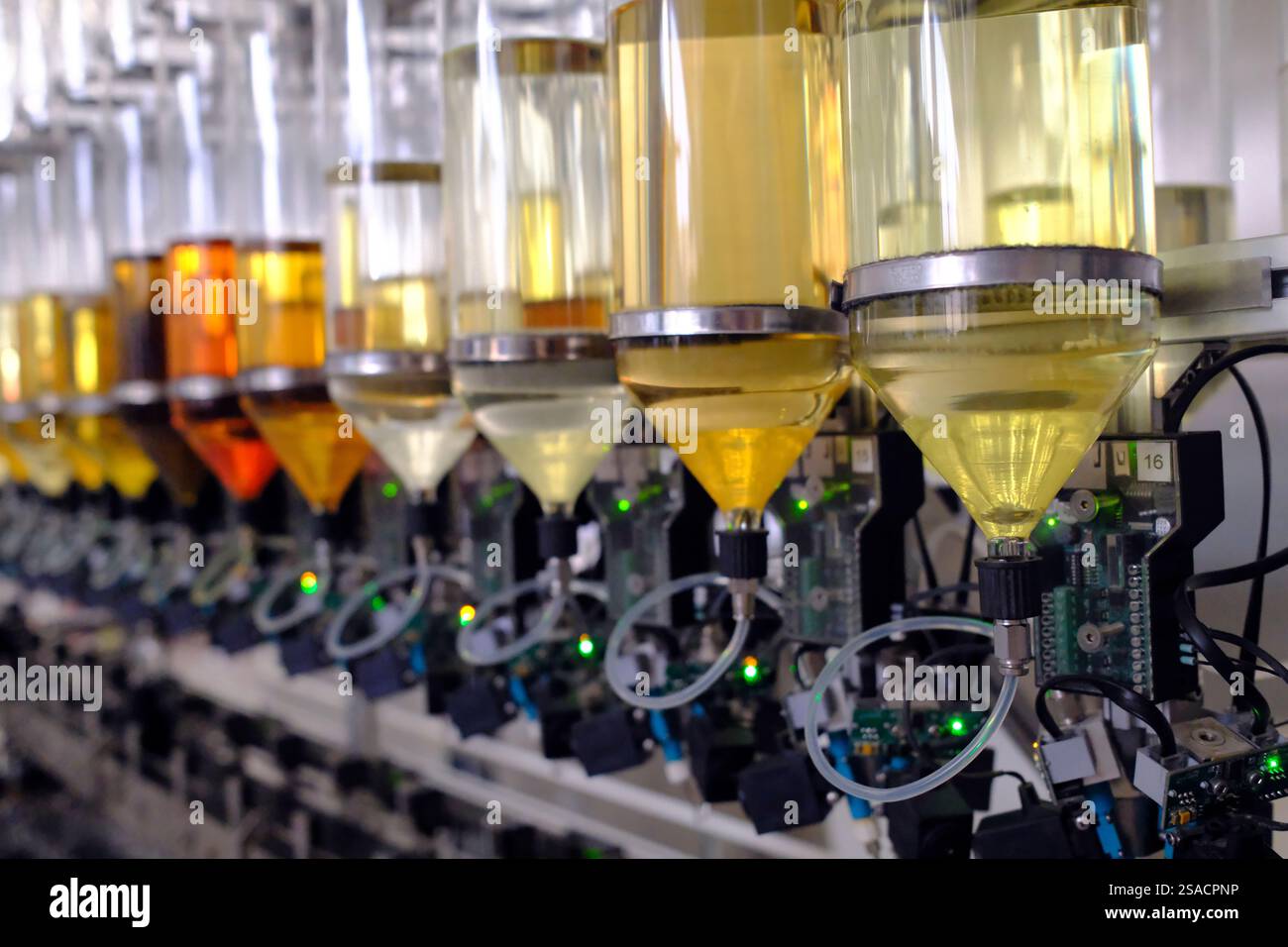 Museum of the Future. Perfume Plant for the production of perfume ...