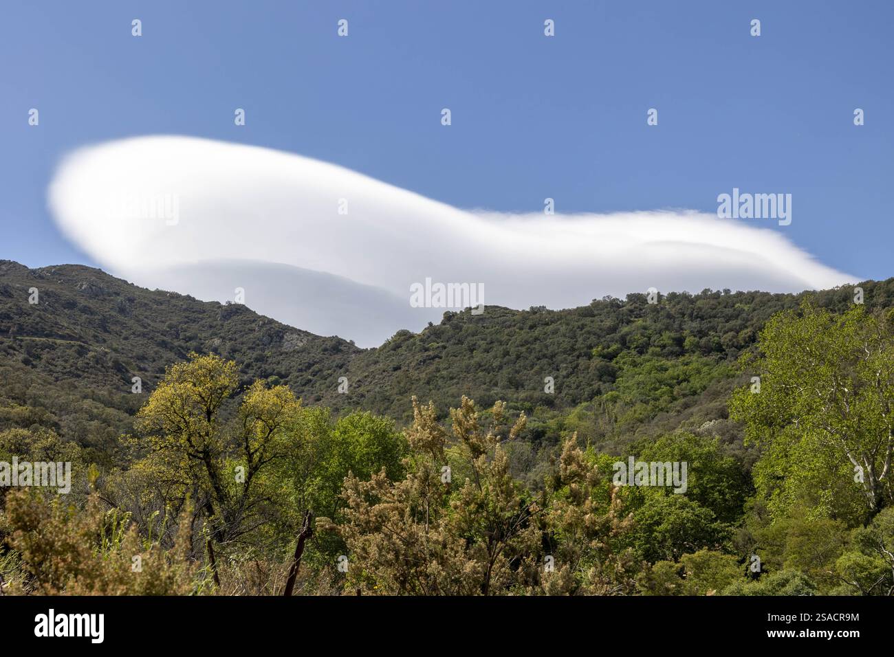 Lenticular cloud over Collioure, Pyrenees-Orientales, France Stock ...