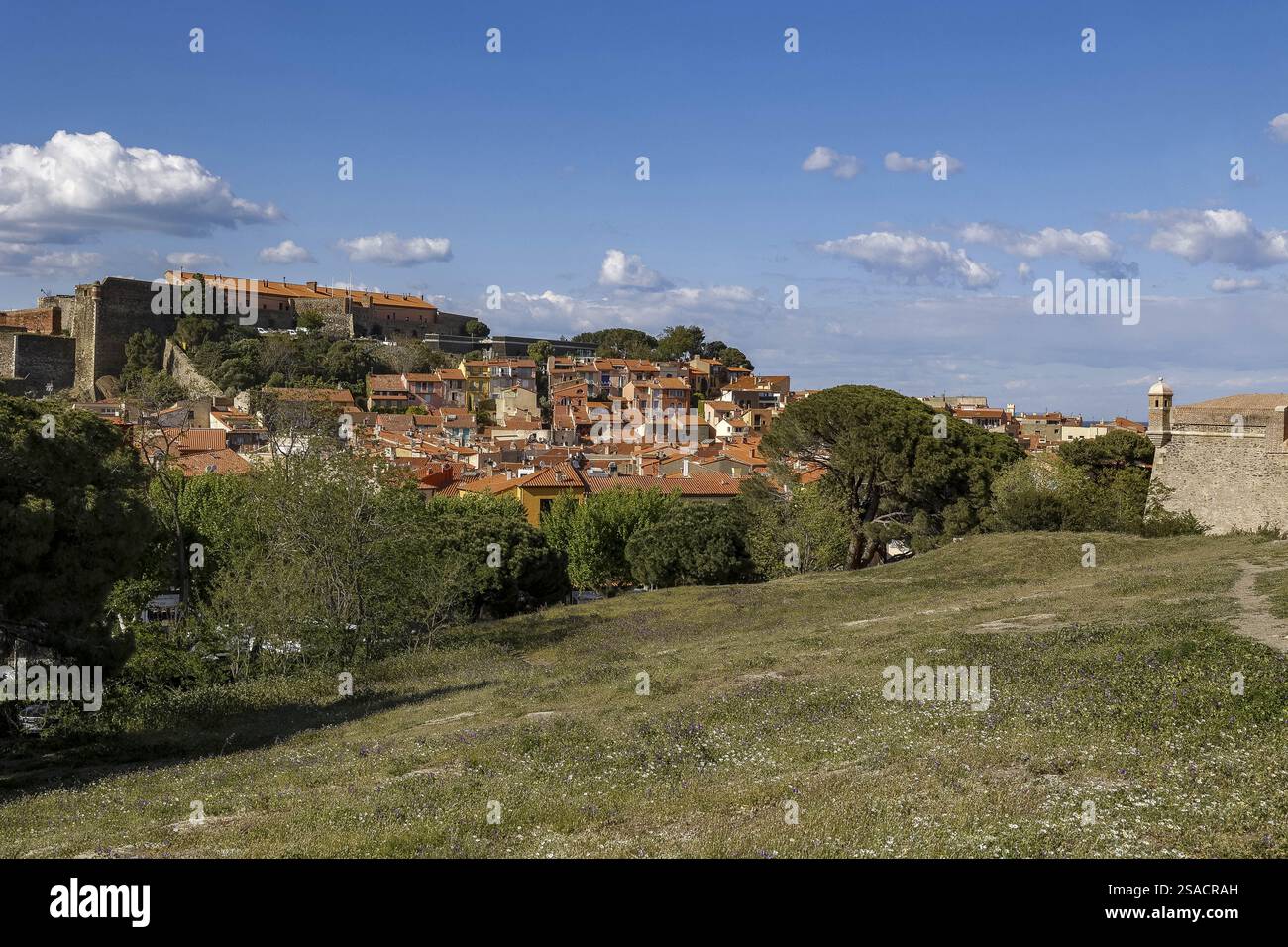 Royal castle and houses in Collioure, France Stock Photo - Alamy