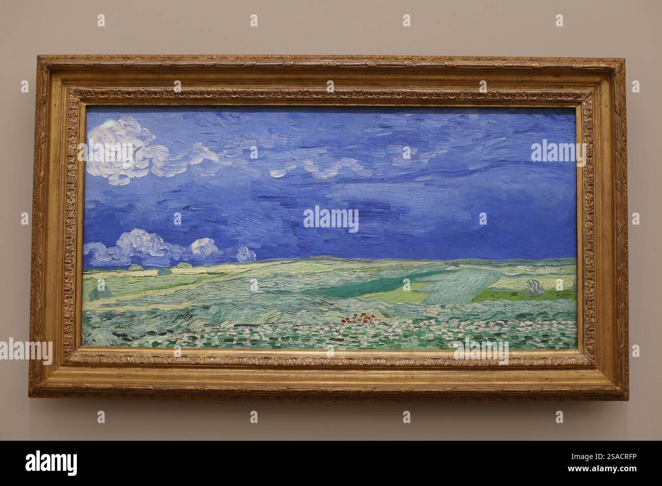 Orsay museum, Paris, France. Vincent Van Gogh.Wheat fields under a ...