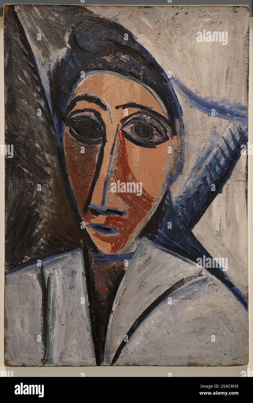 Petit Palais museum, Paris, France. Pablo Picasso, Bust of a woman or a ...