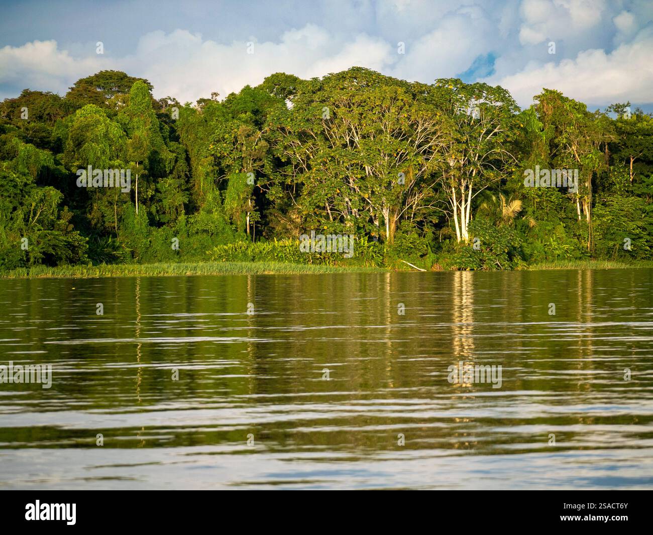 Amazon river landscape with rainforest. Taken near the small town of ...