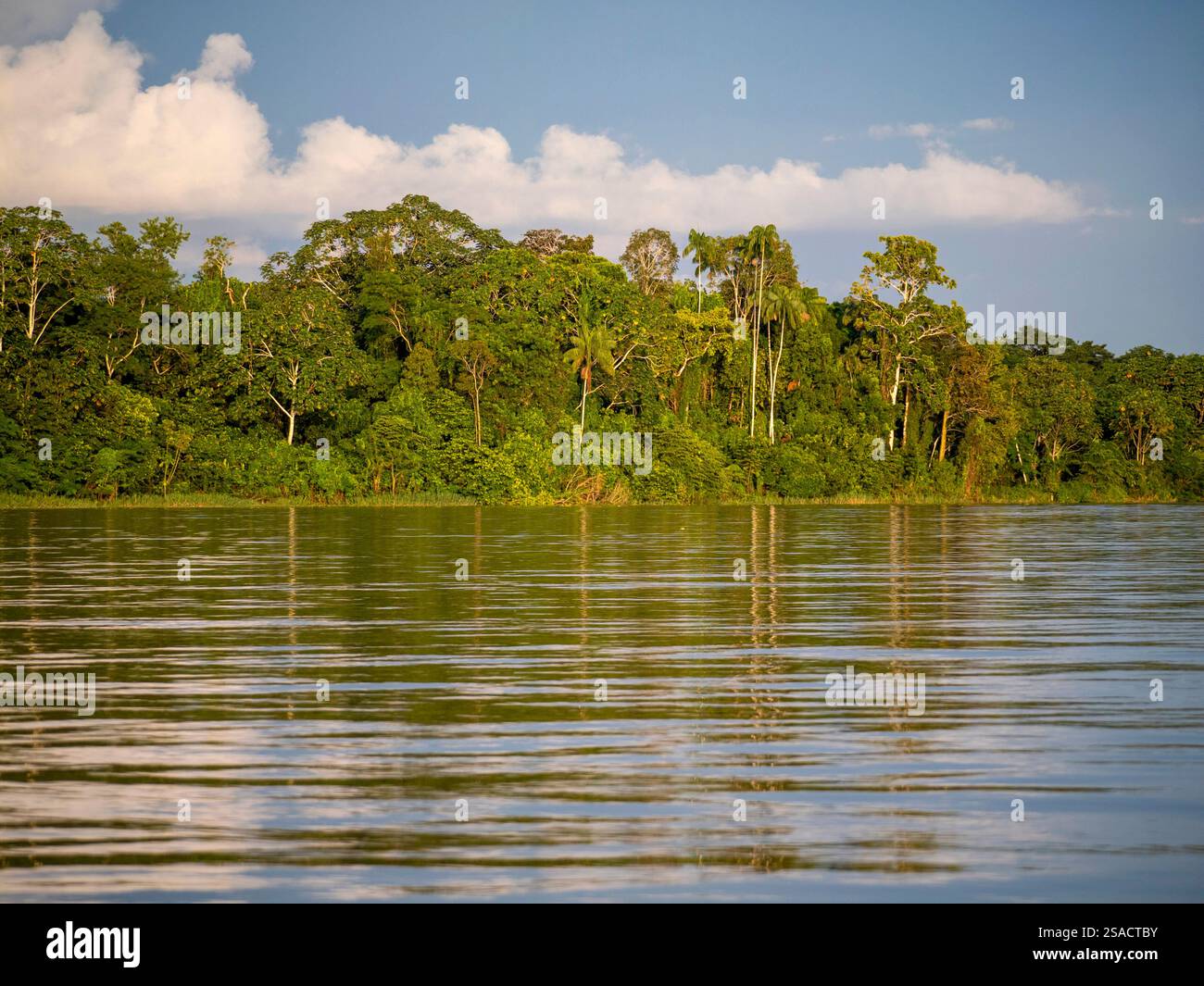 Amazon river landscape with rainforest. Taken near the small town of ...