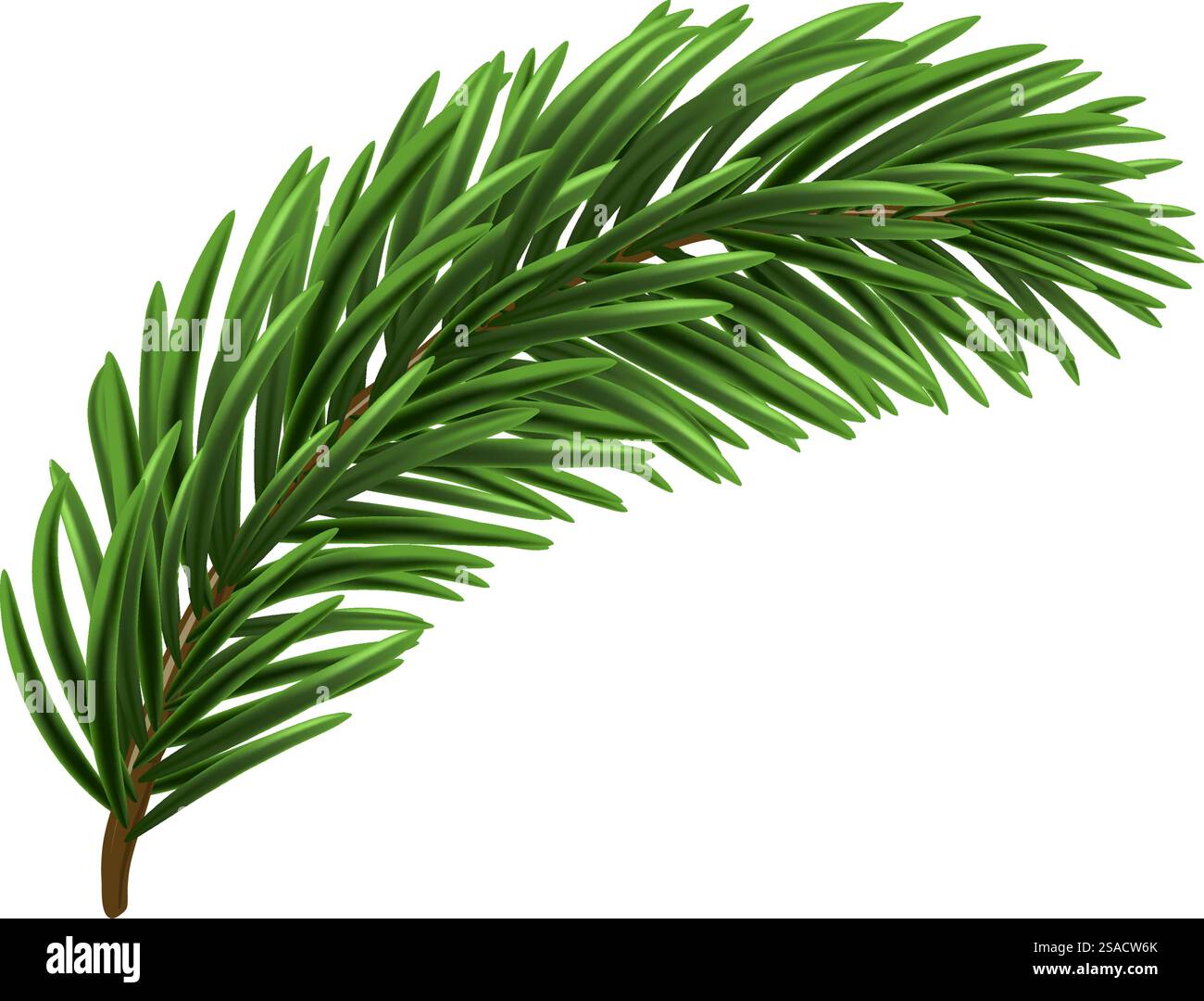 Green Christmas fir tree branch element. Vector illustration Stock ...