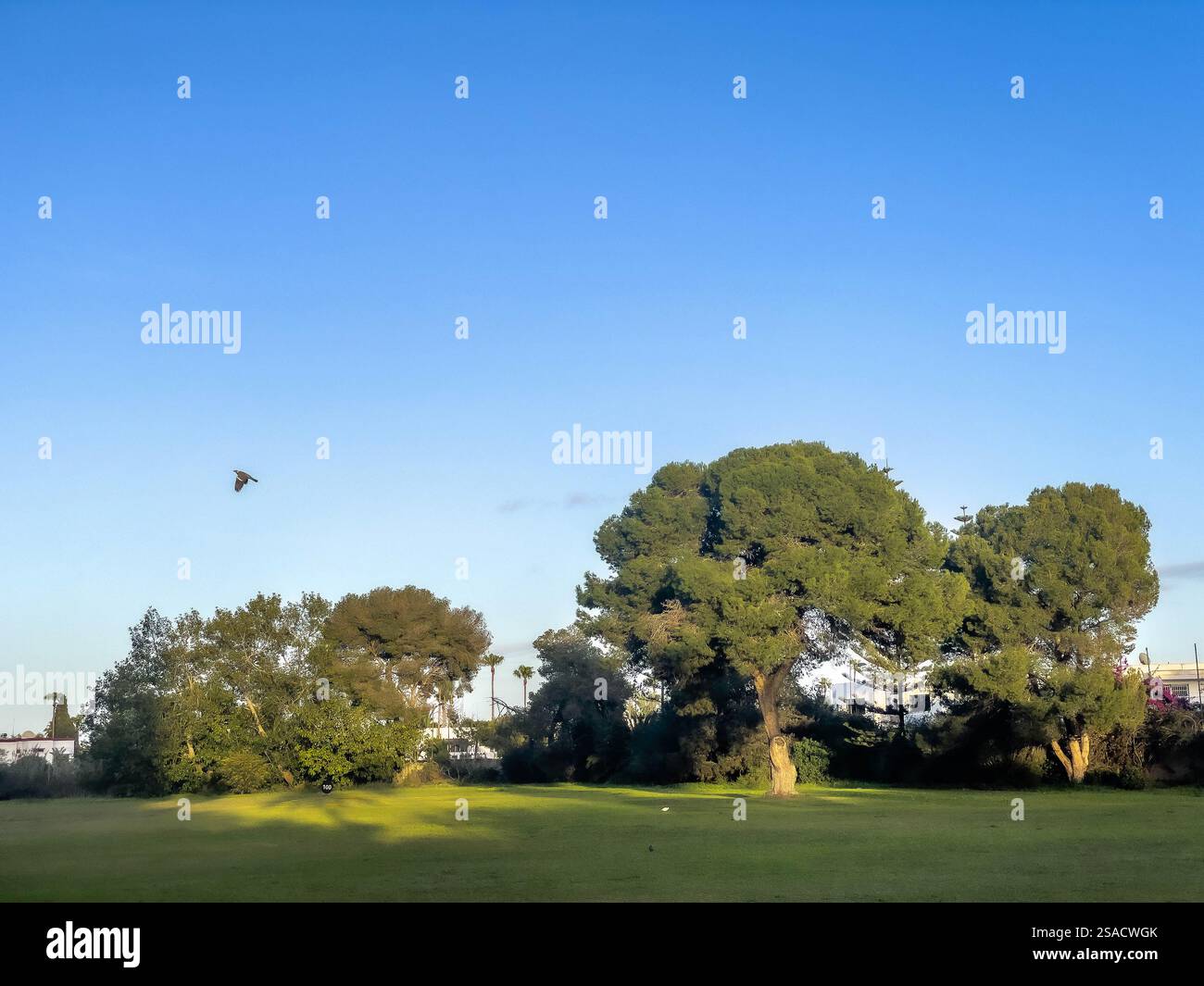 Golf course at the Sofitel hotel in Rabat, Morocco Stock Photo - Alamy