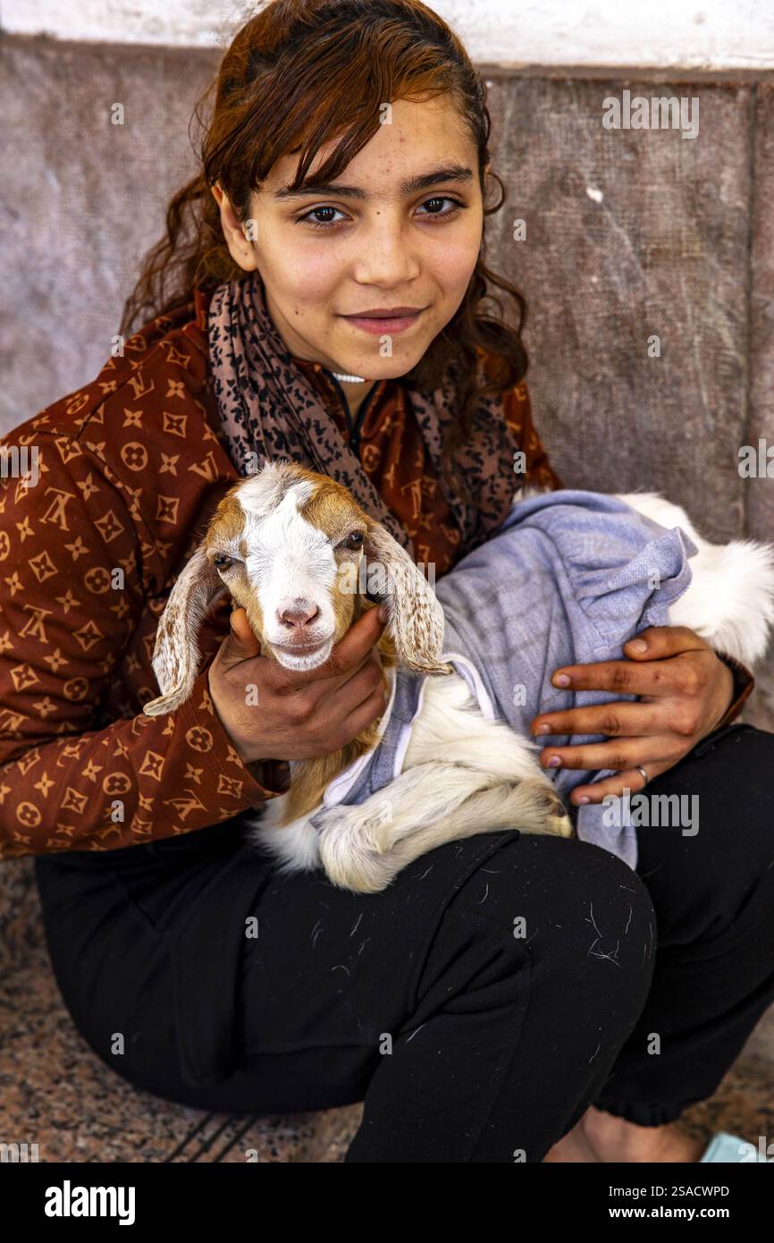 Girl sitting and holding a goat on her lap in Rabat, Morocco Stock ...
