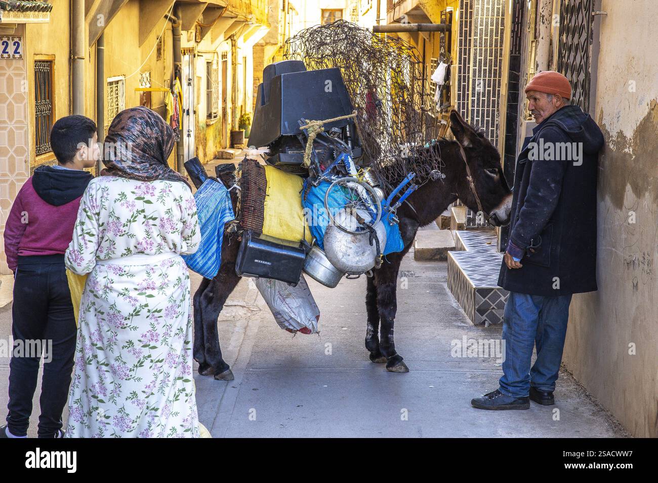 Family around an overloaded donkey in Azrou, Morocco Stock Photo - Alamy