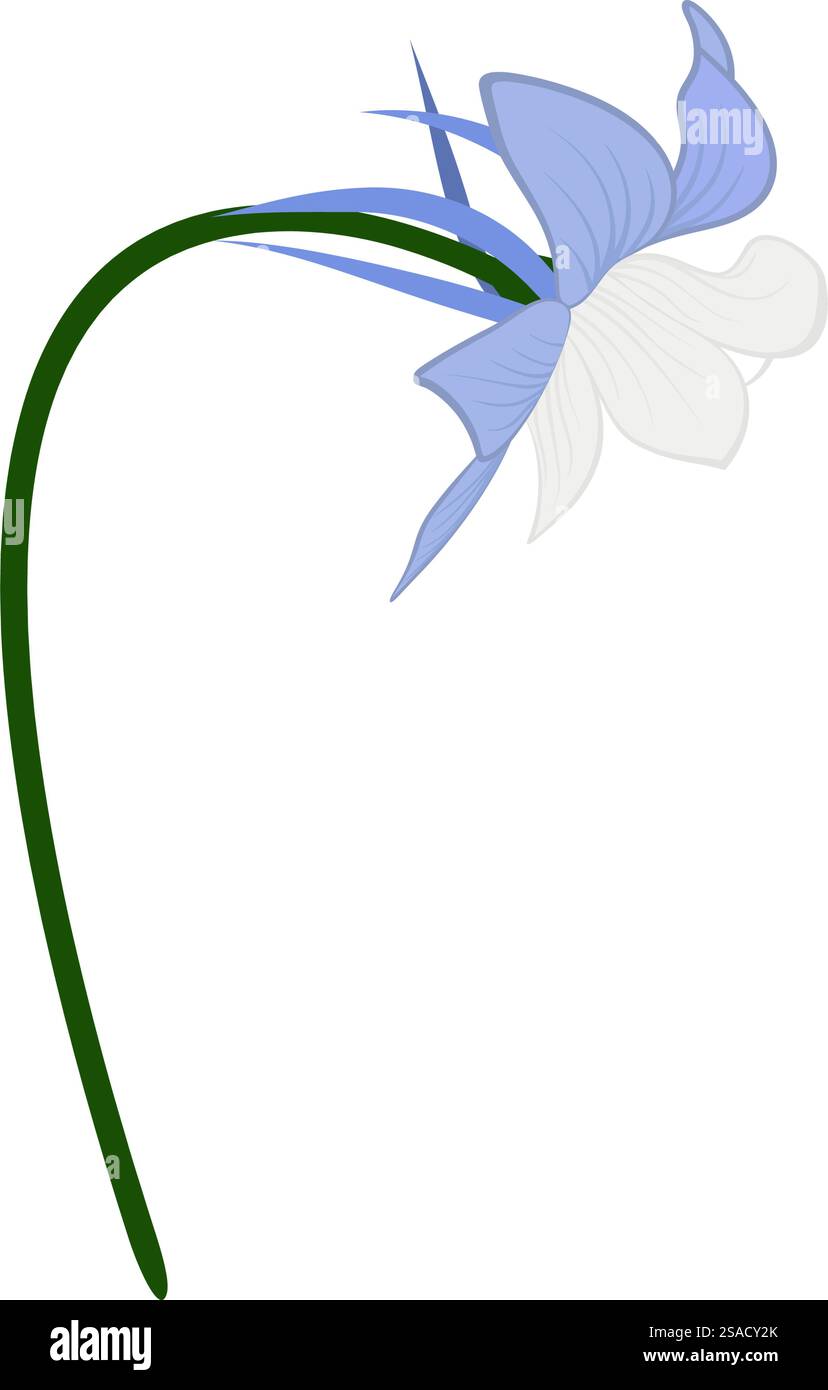 Meadow flower. Beautiful flower for making summer and spring meadow ...