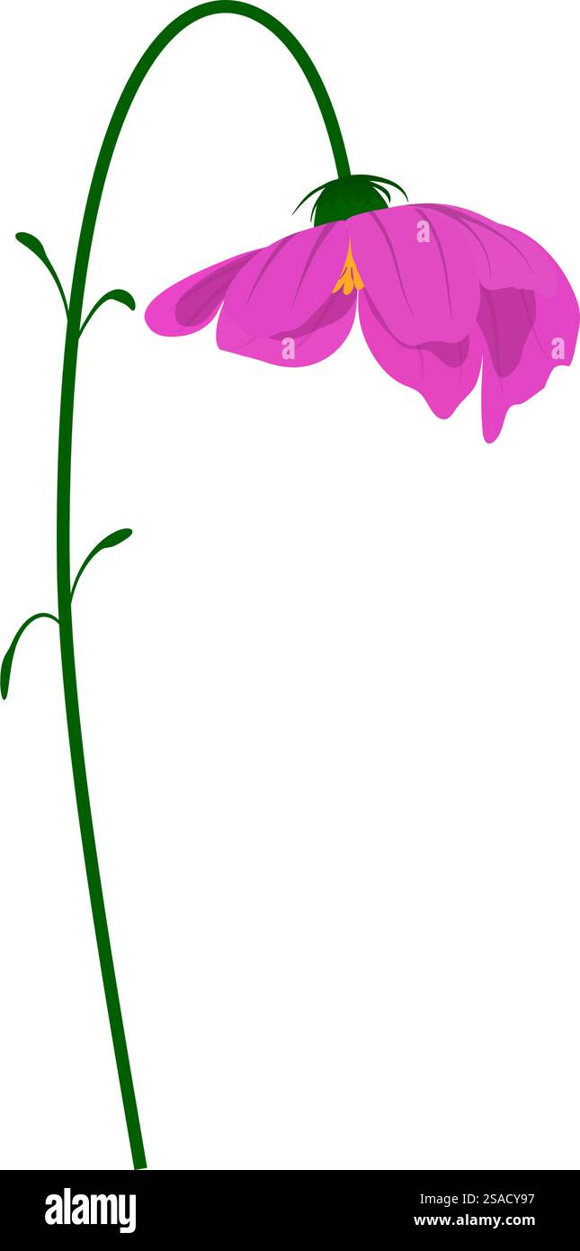 Meadow flower. Beautiful flower for making summer and spring meadow ...