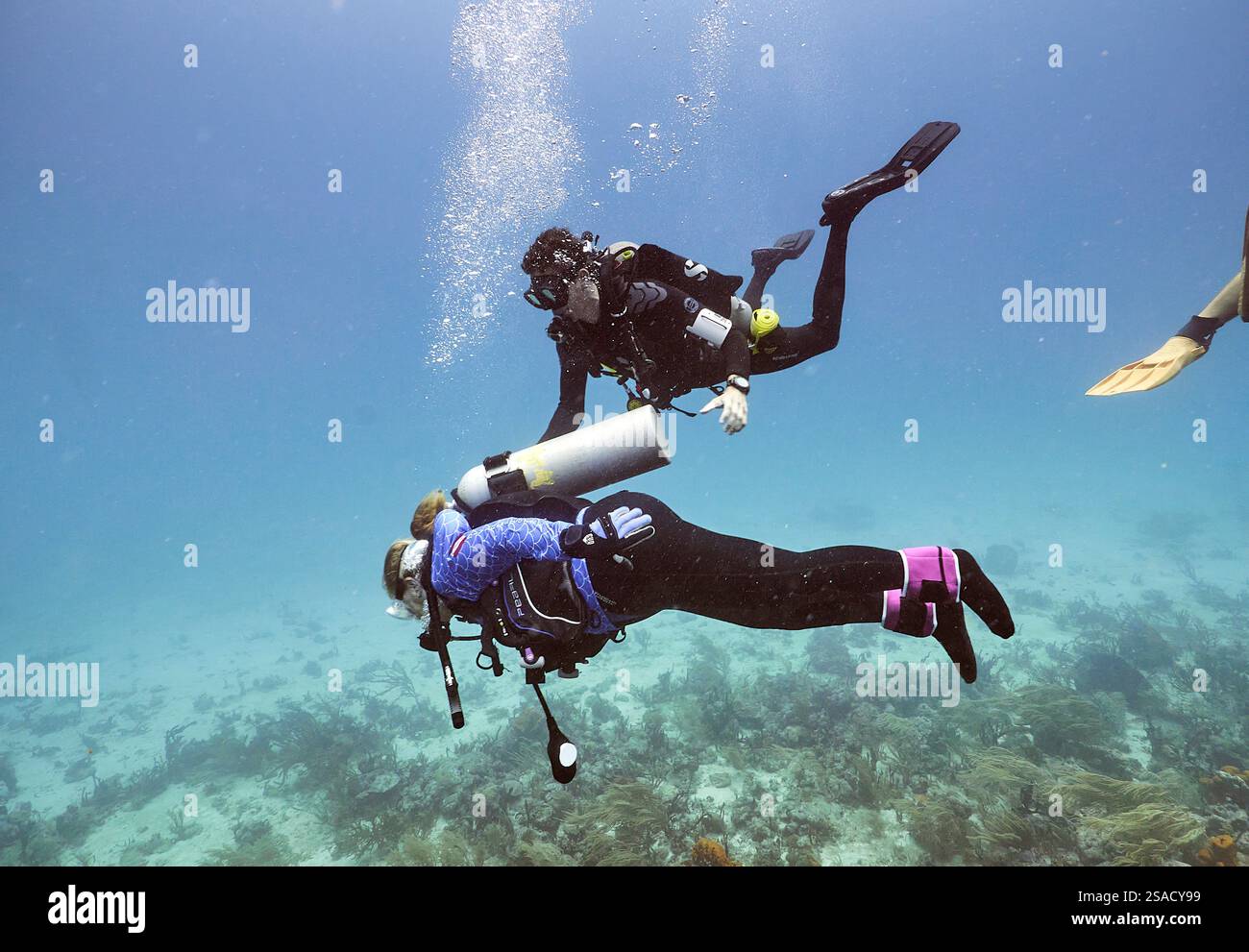 Empowerment initiative hi-res stock photography and images - Alamy