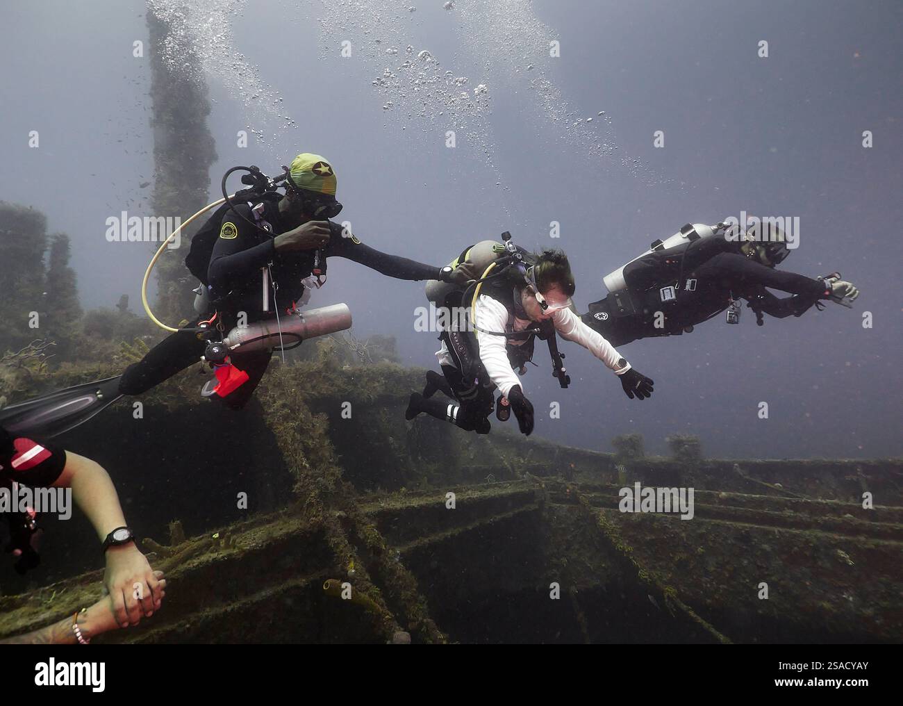 Wheelchair users scuba diving as part of the dive heart initiative ...