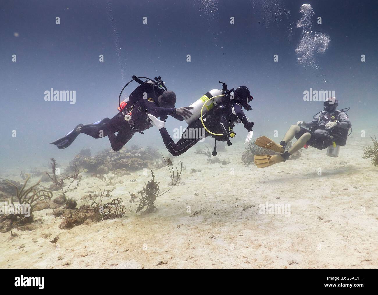 Wheelchair users scuba diving as part of the dive heart initiative ...