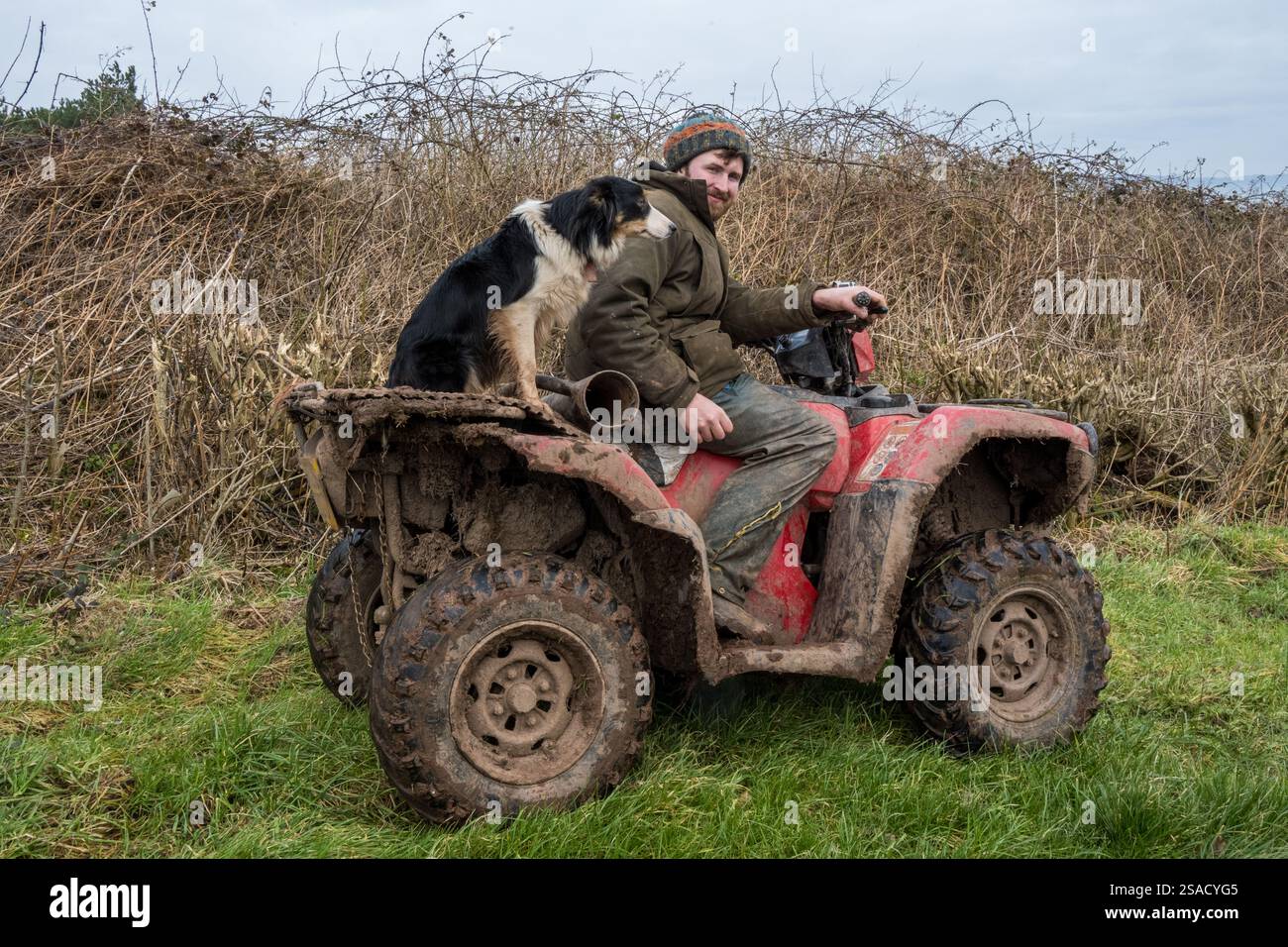 Shepherd & his dog on a compact tractor Stock Photo - Alamy