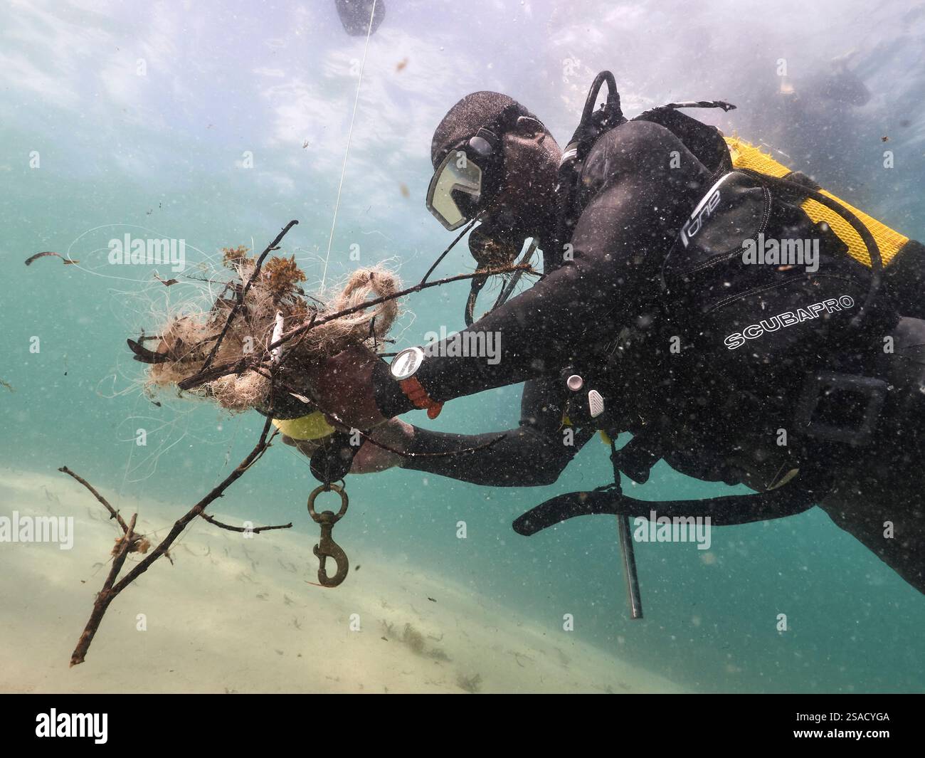 Monofiliment hi-res stock photography and images - Alamy