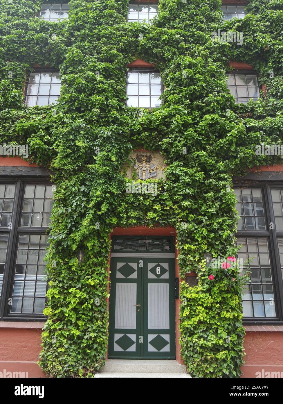 Historic facade overgrown with greenery Stock Photo - Alamy