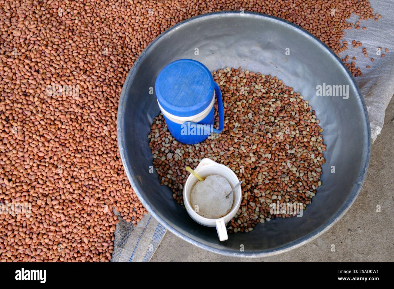 Peanut production factory. Sorting and packaging of peanuts. Tan Chau ...
