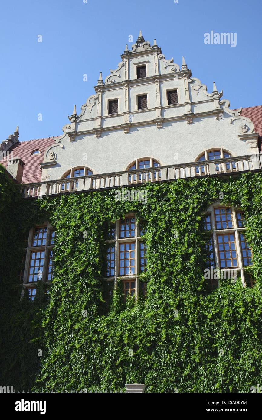 Old architecture with Wild Vine in PoznaN, PoznaN Stock Photo - Alamy