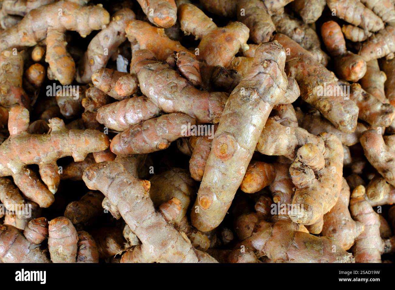 Dong Ba market. Food stand. Fresh ginger for sale. Hue. Vietnam Stock ...