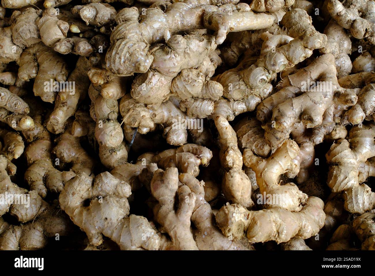 Dong Ba market. Food stand. Fresh ginger for sale. Hue. Vietnam Stock ...