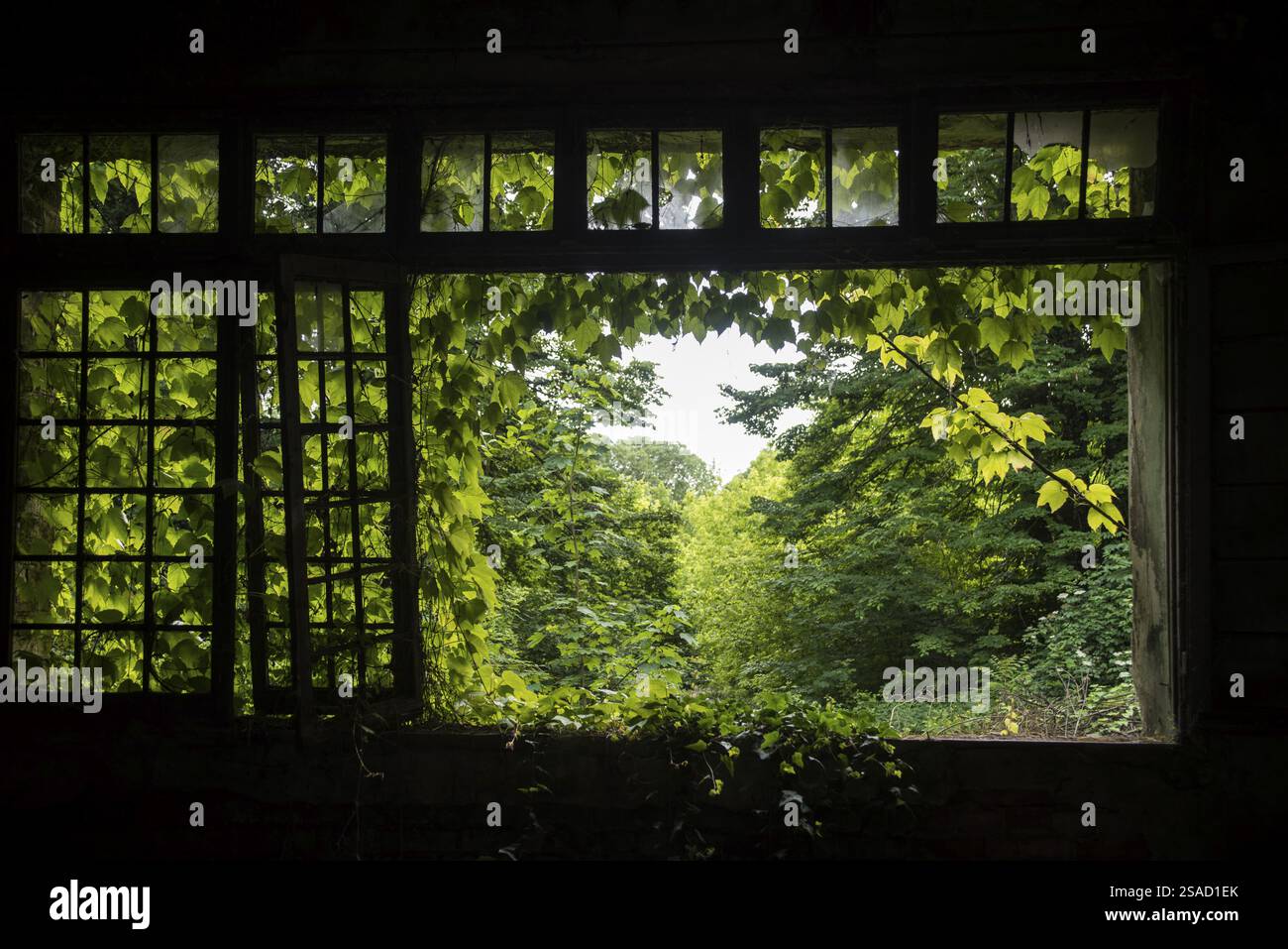 A picture of a scary place in an abandoned asylum in Vercelli, Italy ...