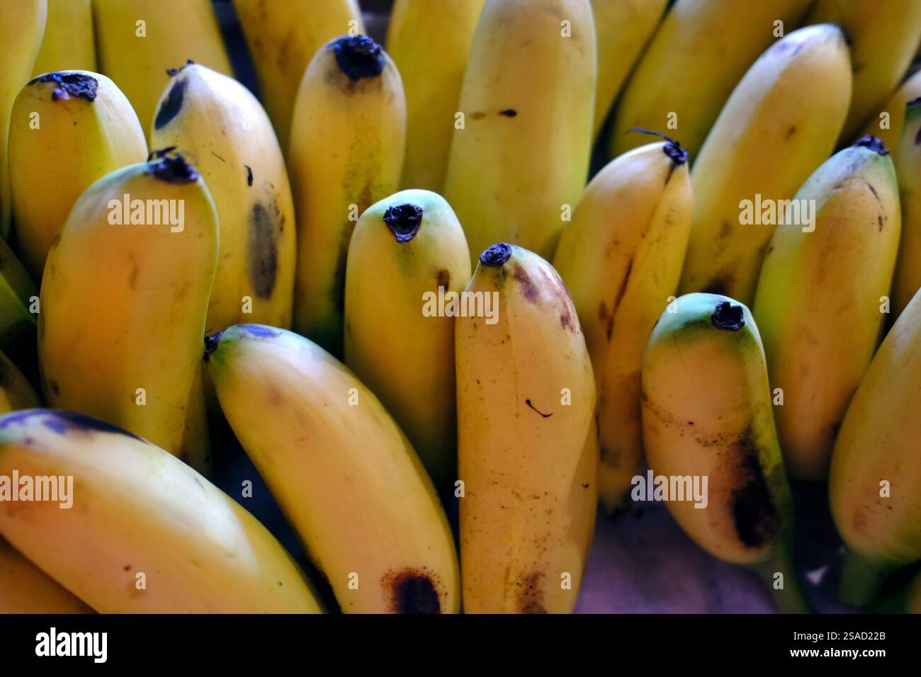 Fresh tropical fruits buffet in a restaurant. Banana Stock Photo - Alamy