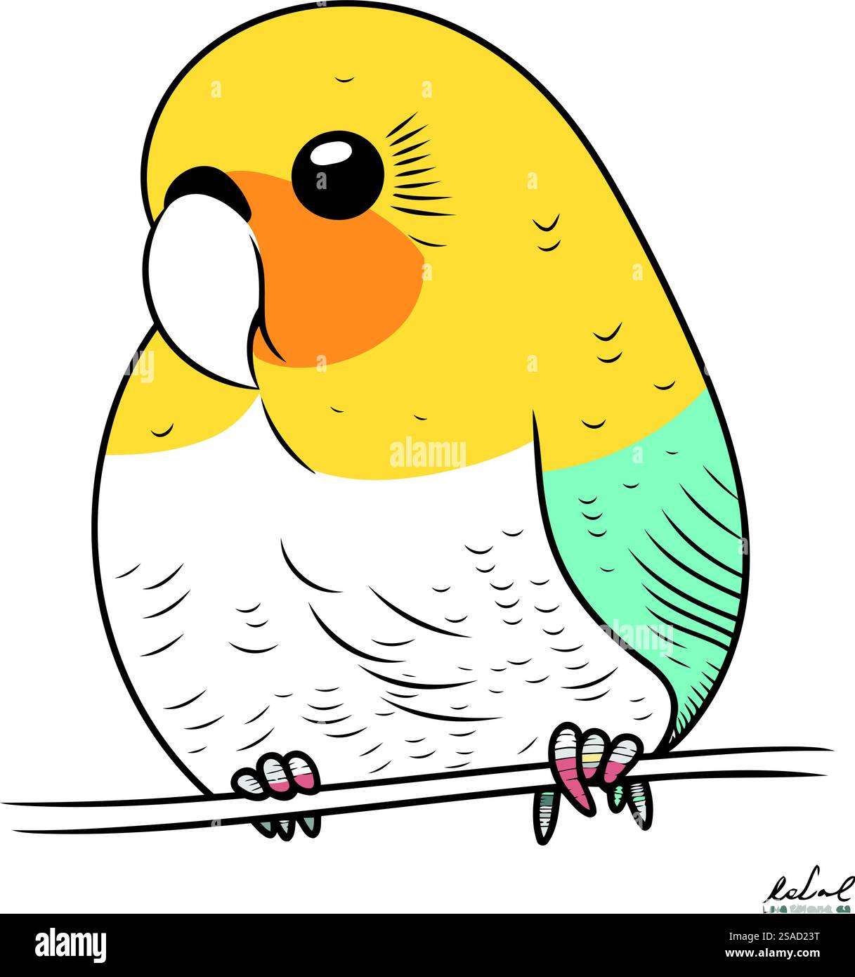 Budgerigar. Vector illustration of a cute bird Stock Vector Image & Art ...