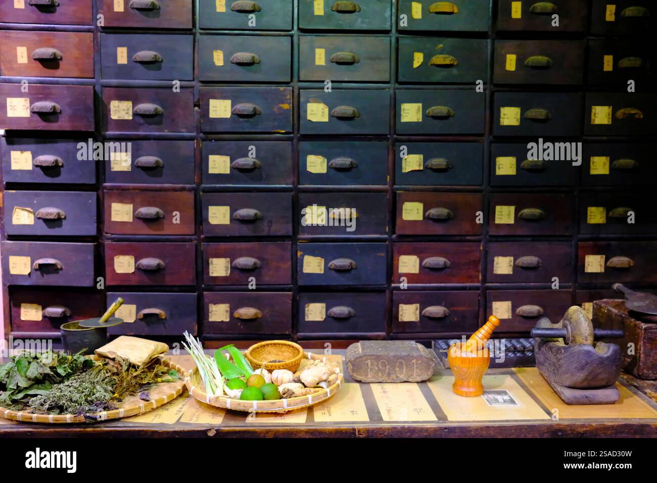 Fito Museum or museum of Vietnamese Traditionnal Medicine. Pharmacy ...