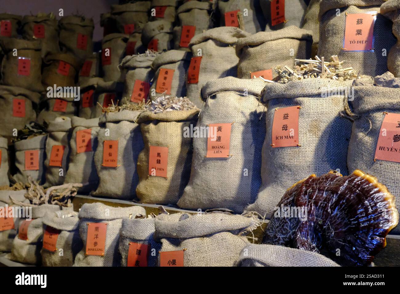 Fito Museum or museum of Vietnamese Traditionnal Medicine. Medicinal ...