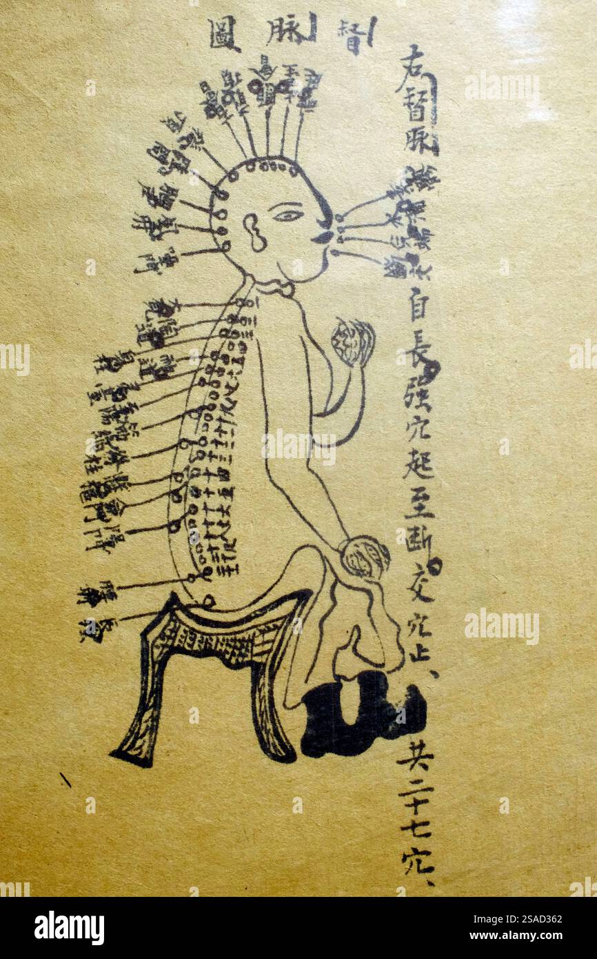 Fito Museum or museum of Vietnamese Traditionnal Medicine. The channels ...