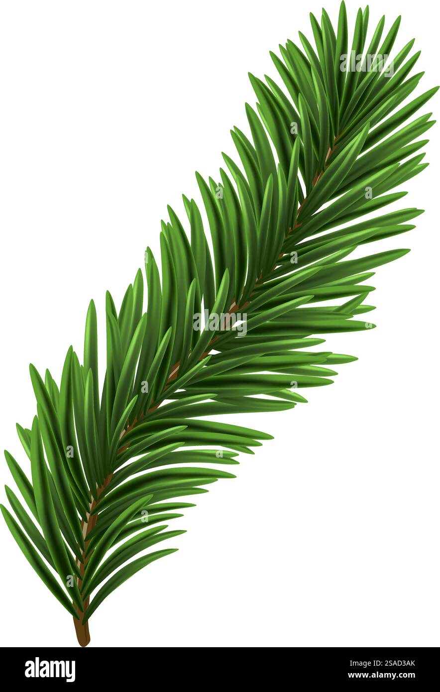 Green Christmas fir tree branch element. Vector illustration Stock ...