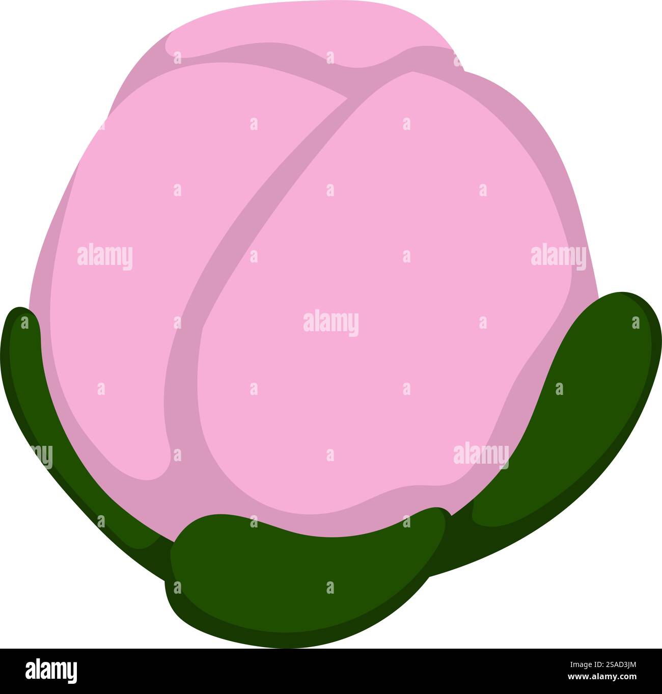 Vector illustration realistic pink Cut Out Stock Images & Pictures - Alamy
