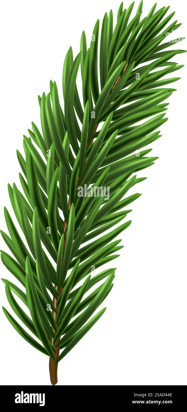 Green Christmas fir tree branch element. Vector illustration Stock ...