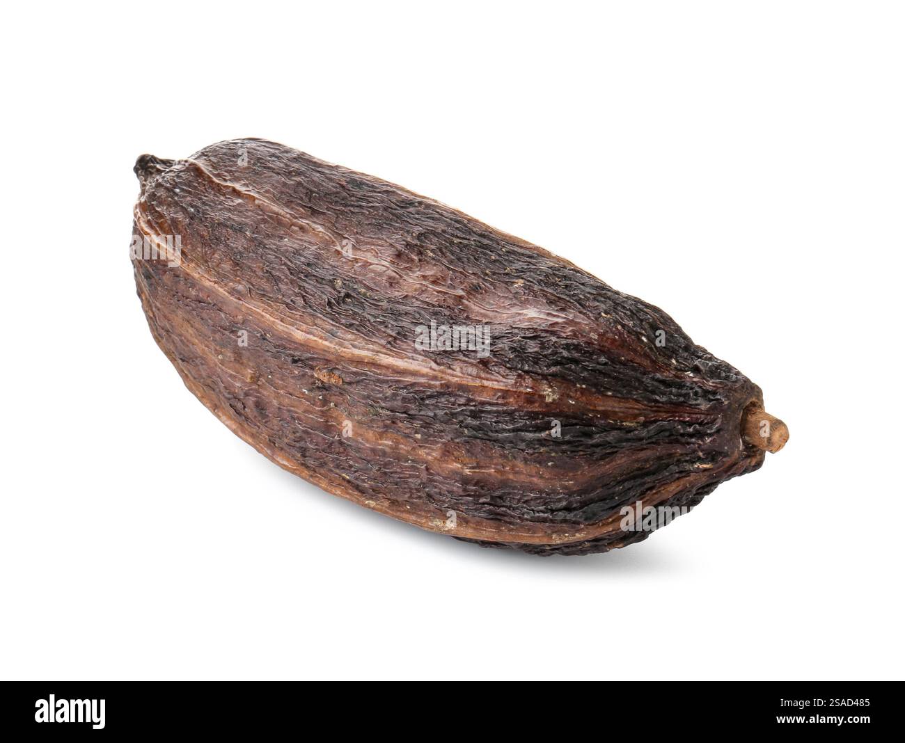 Whole tropical cocoa pod isolated on white Stock Photo - Alamy