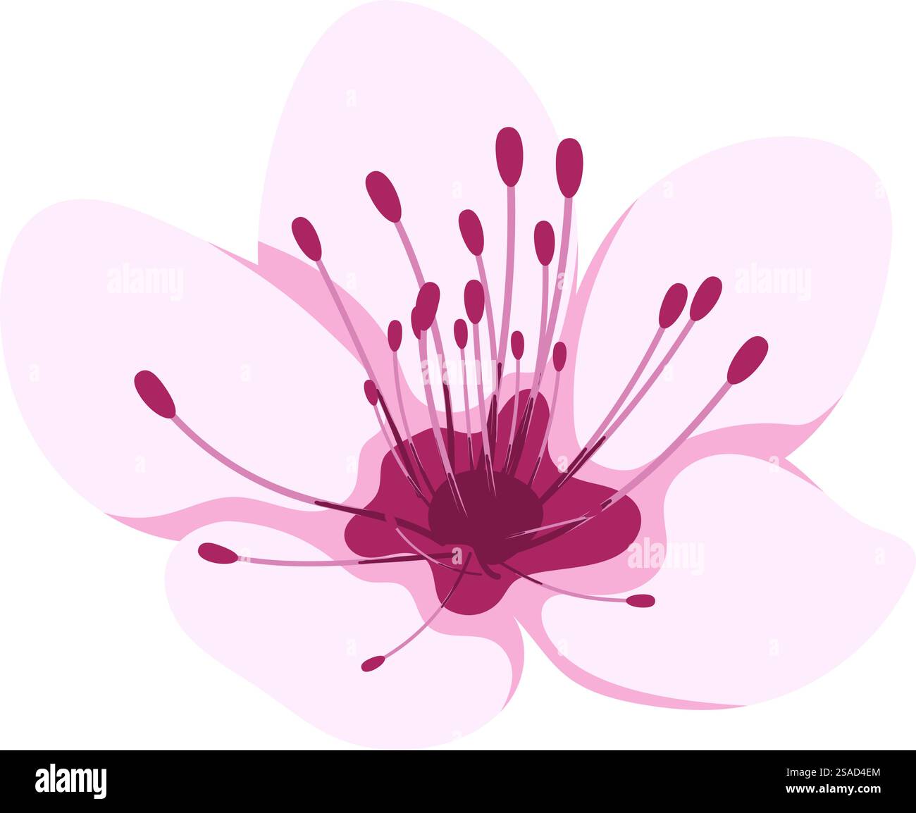 Sakura flower element. Vector illustration Stock Vector Image & Art - Alamy