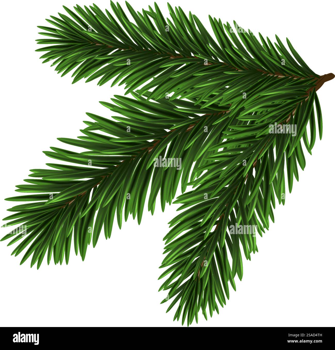 Green Christmas fir tree branch element. Vector illustration Stock ...