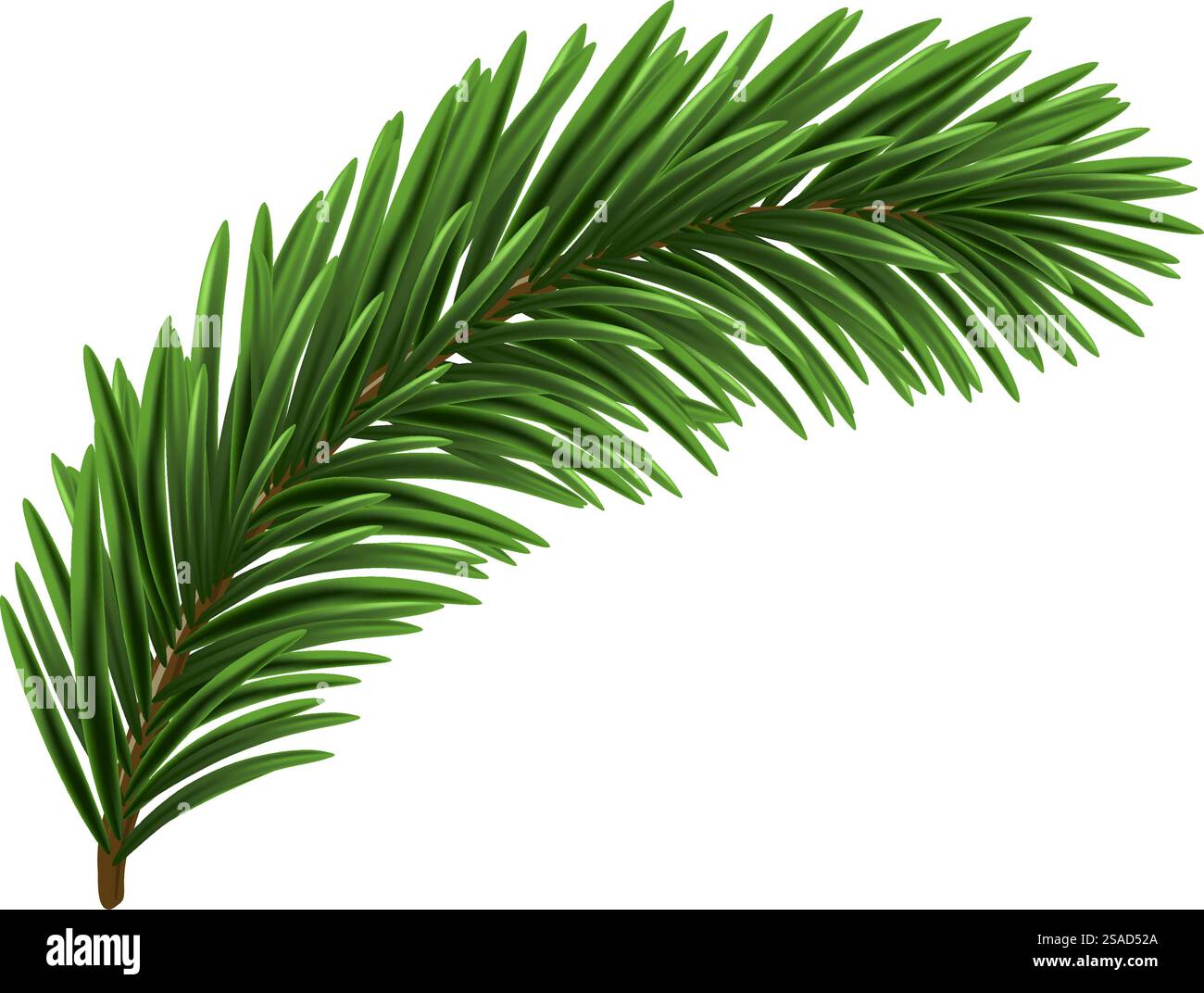 Green Christmas fir tree branch element. Vector illustration Stock ...