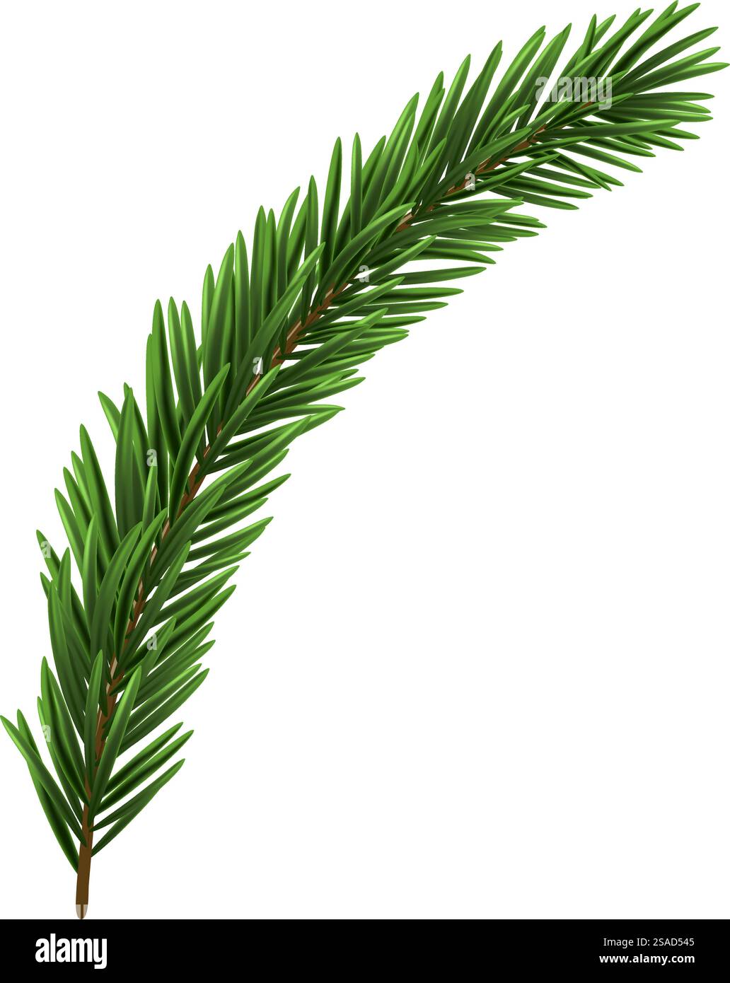 Green Christmas fir tree branch element. Vector illustration Stock ...