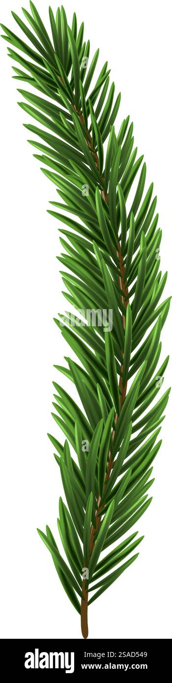 Green Christmas fir tree branch element. Vector illustration Stock ...