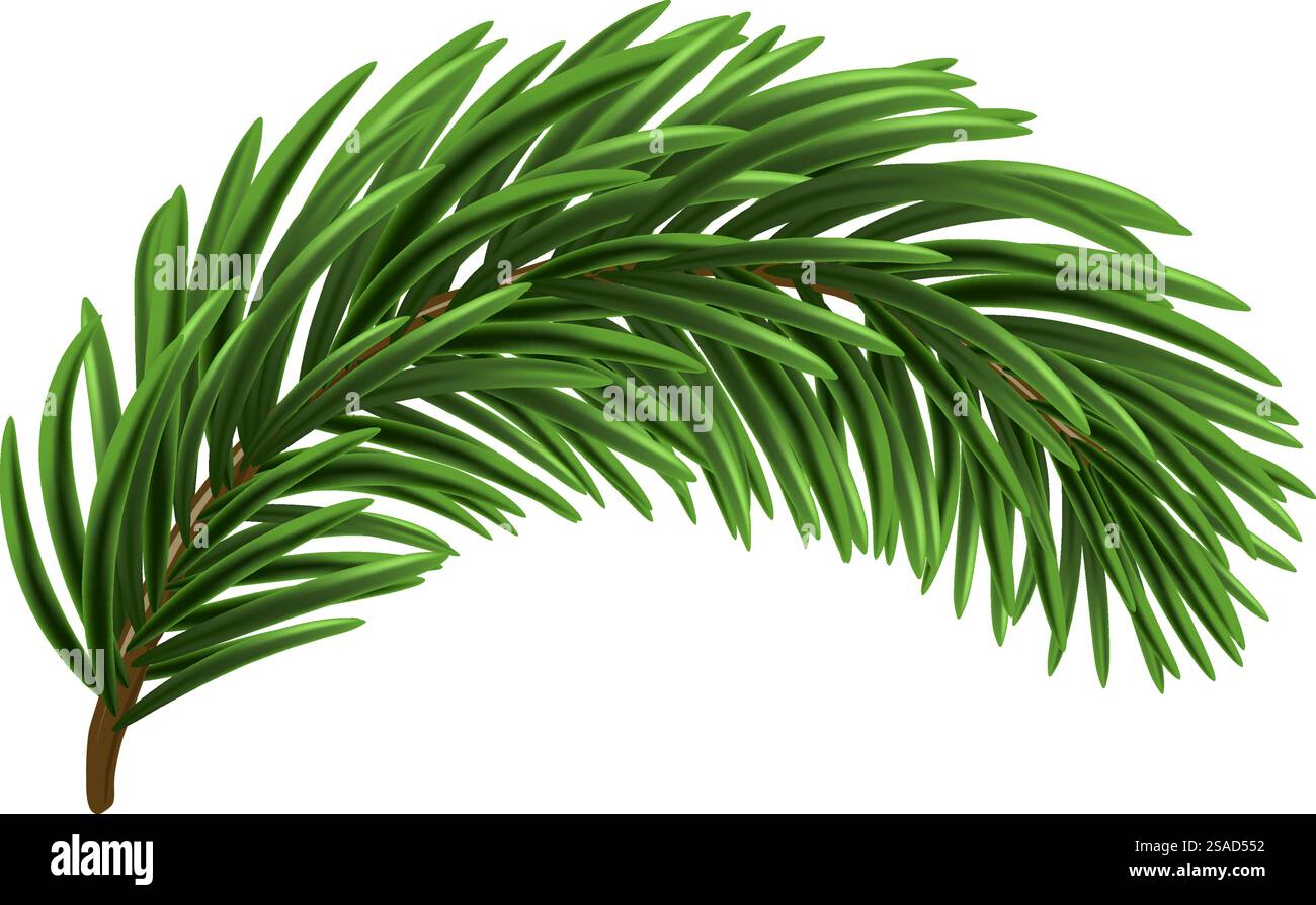 Green Christmas fir tree branch element. Vector illustration Stock ...
