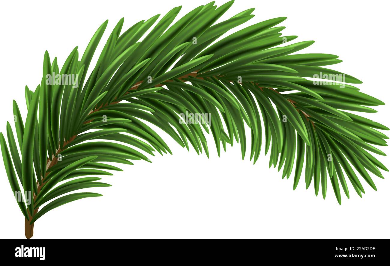 Green Christmas fir tree branch element. Vector illustration Stock ...