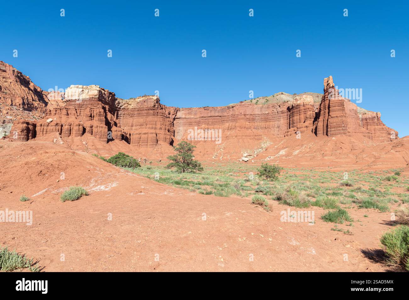 Vegetation and Rock Formation in Capitol Reef National Park, Utah, USA ...